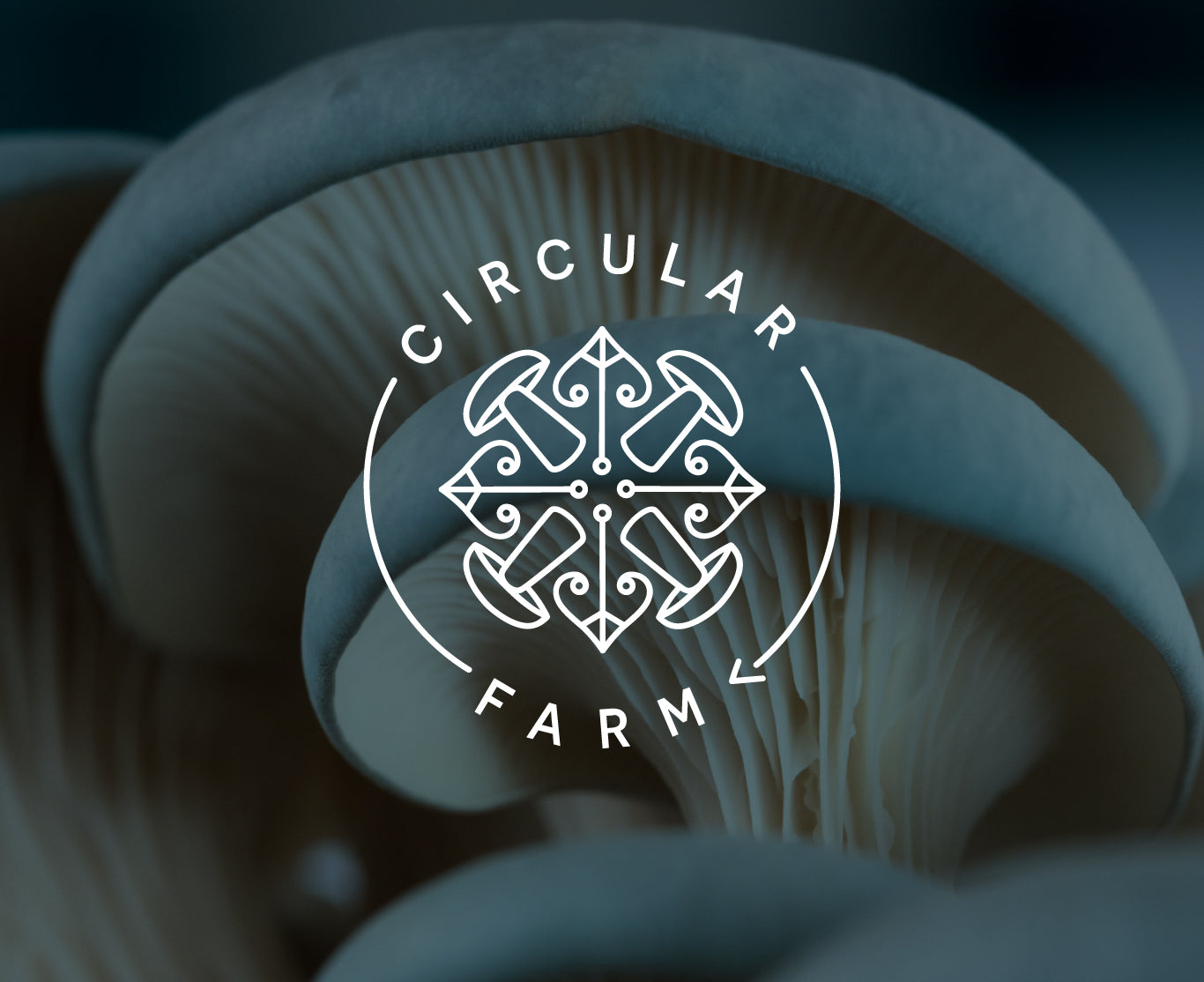 Growing 101 – Circular Farm